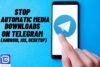 How to Stop Auto-Download on Telegram - TechBloat